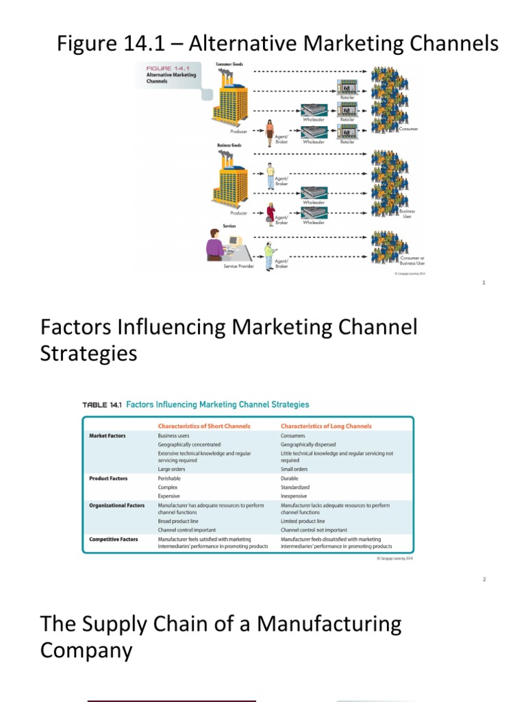 Figure 14.1 - Alternative Marketing Channels | PDF