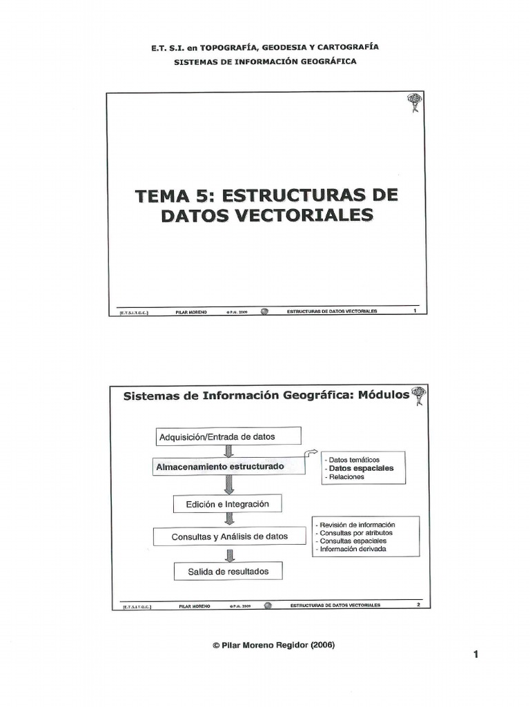 Datos Vectoriales para Sig | PDF