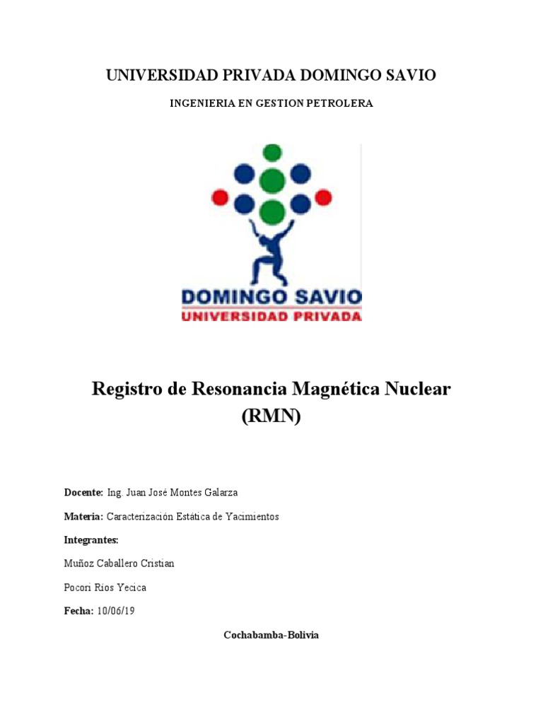 Registro de RMN en Ingeniería Petrolera | PDF | Resonancia magnética ...