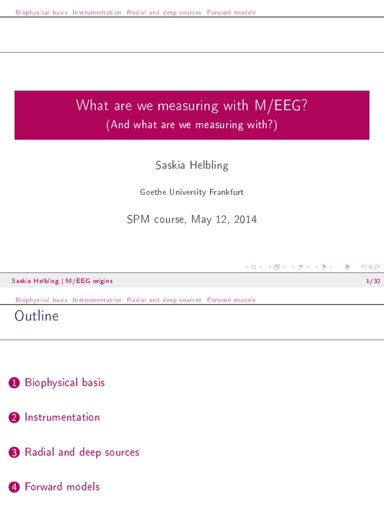 What Are We Measuring With MEG | PDF | Magnetoencephalography ...