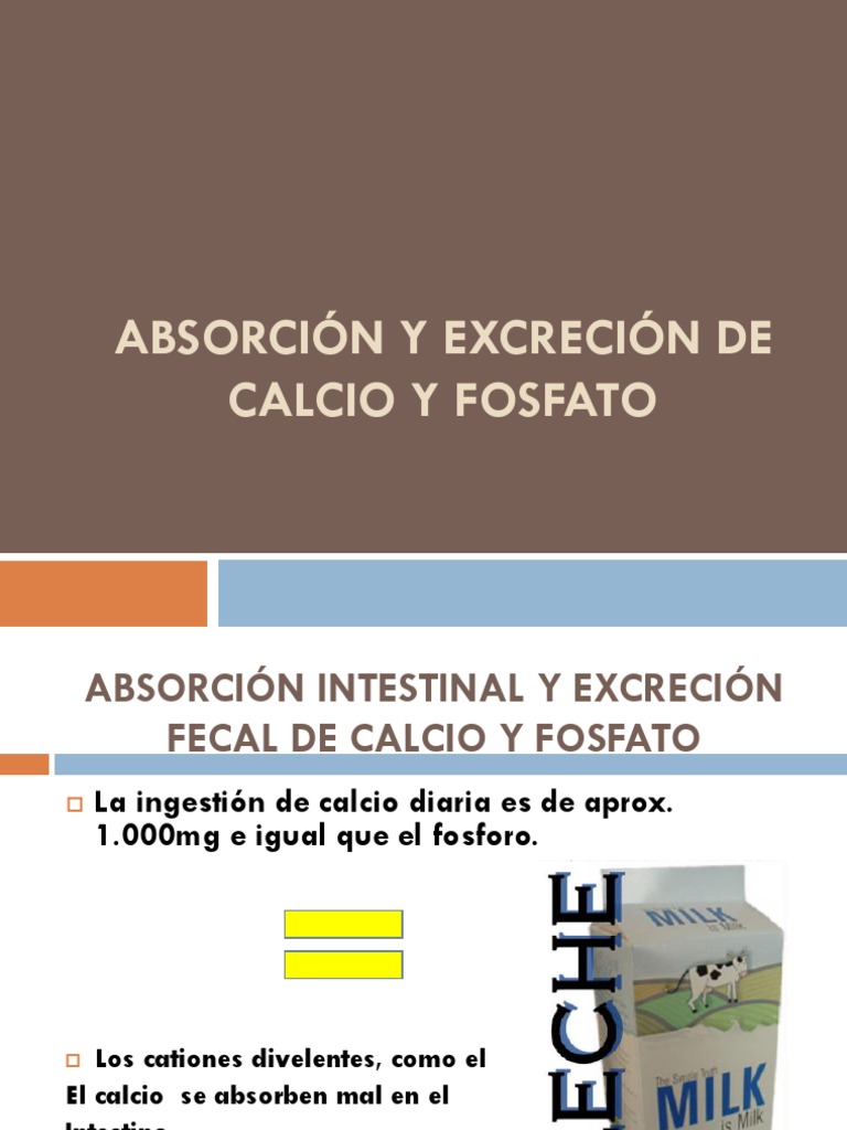 Absorción y Excreción de Calcio y Fosfato | PDF