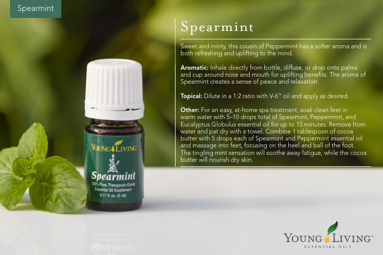 Spearmint PDF | PDF | Wellness