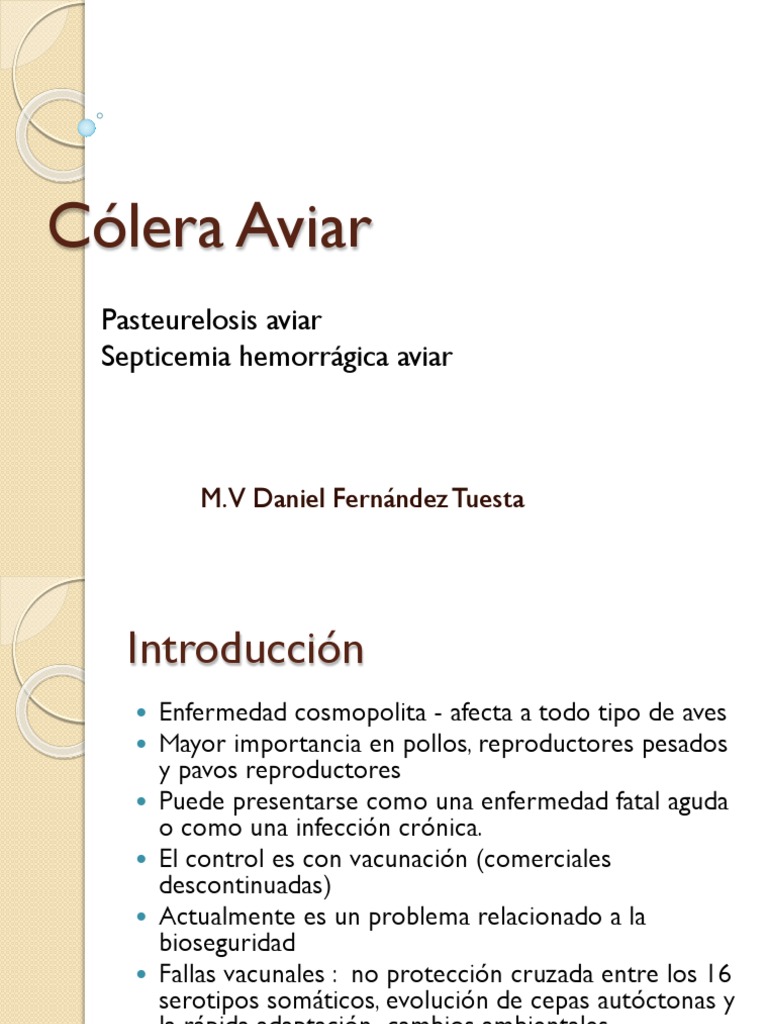 Cólera Aviar: Diagnóstico y Prevención | PDF | Ciencias de la Salud ...