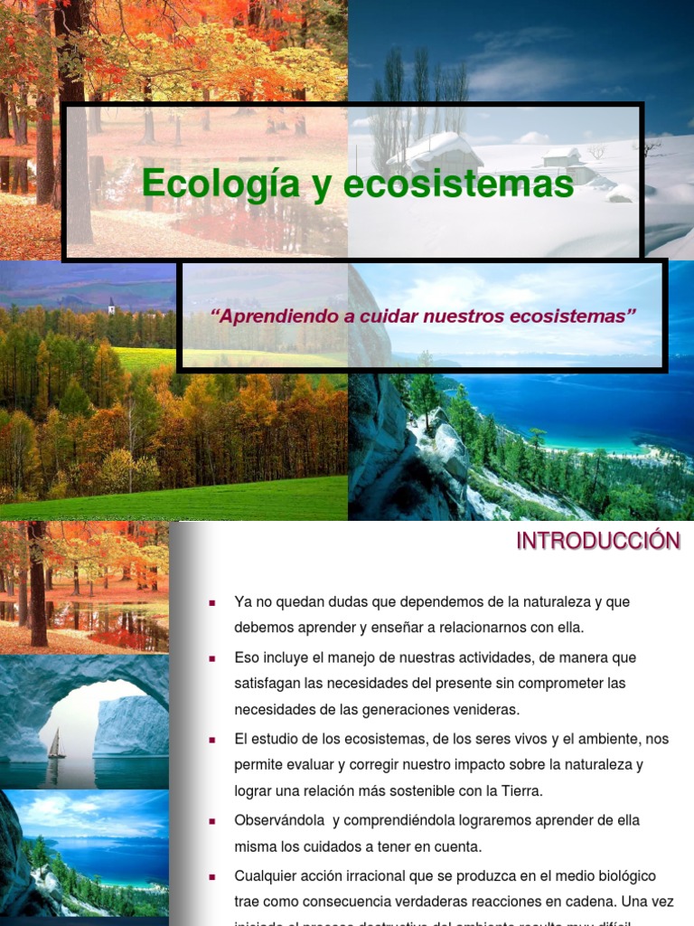 Ecosistemas Diapositivas | PDF | Ecosistema | Habitat