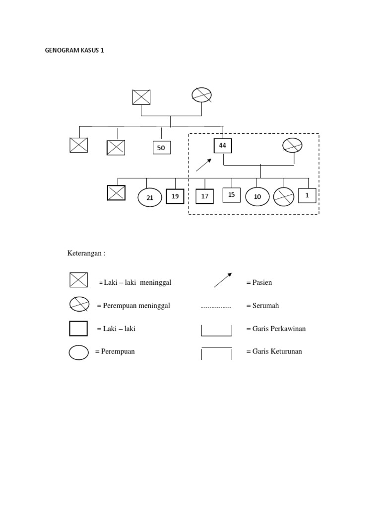 Genogram Keluarga Kasus 1 | PDF