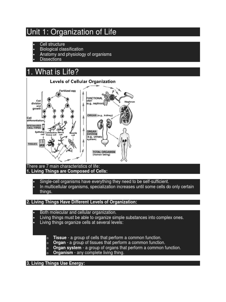 Understanding Life's Organization and Characteristics | PDF