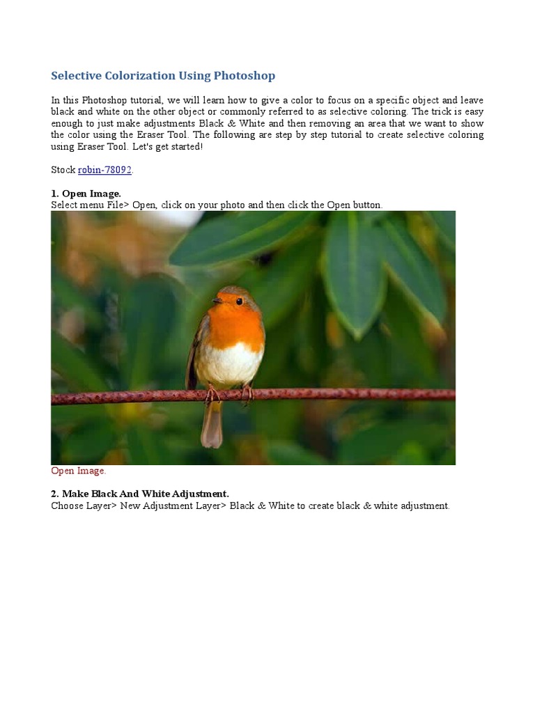 Selective Colorization Using Photoshop | PDF