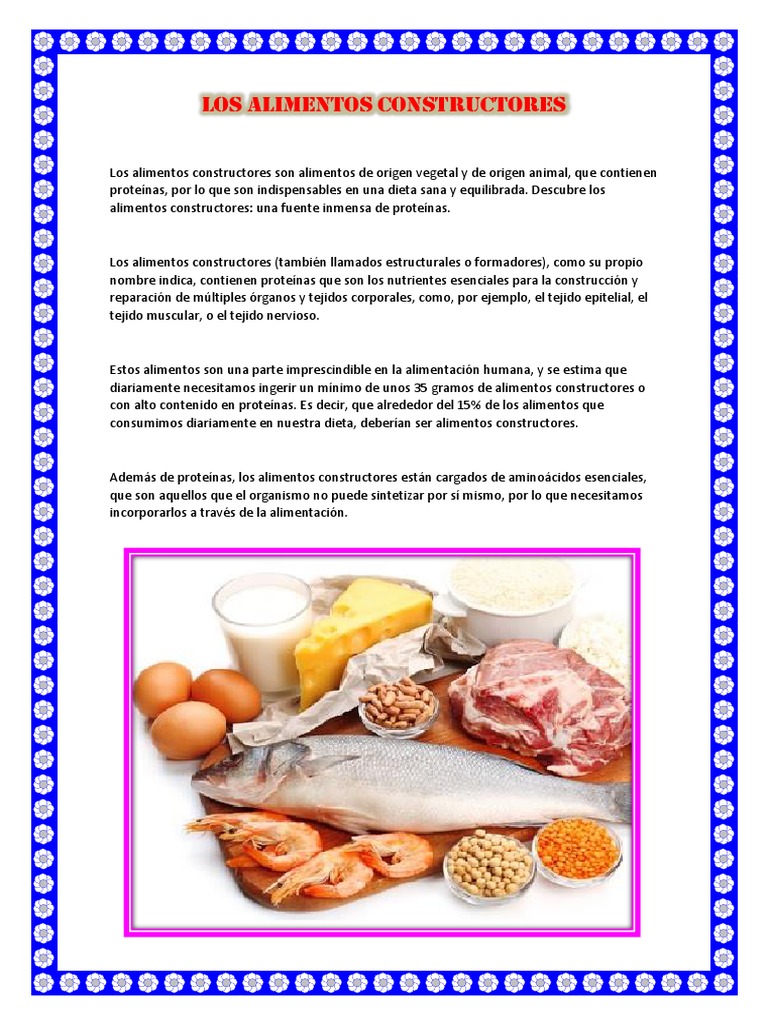 Los Alimentos Constructores | PDF