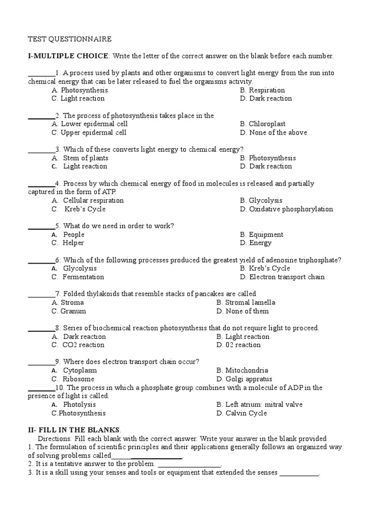 Understanding Photosynthesis and Cellular Respiration: A Comprehensive ...