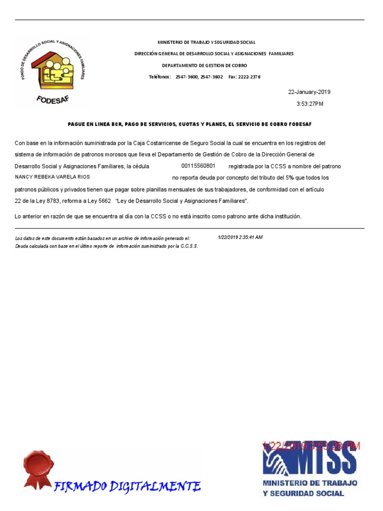 Consulta de Morosidad FODESAF | PDF