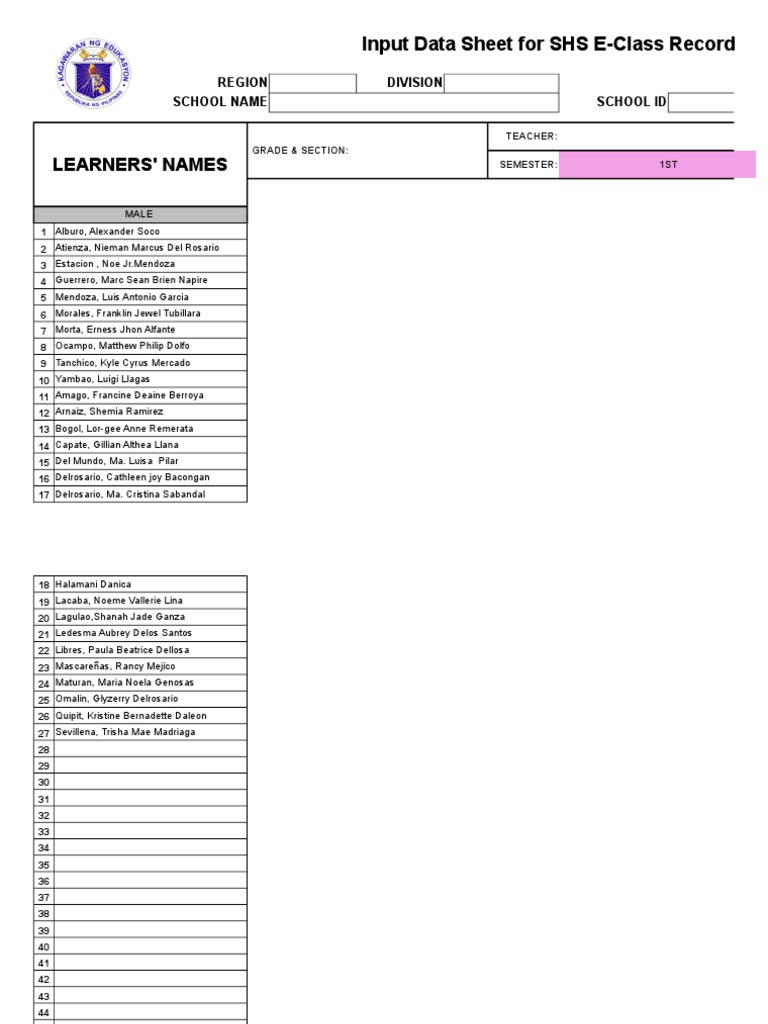 Learners' Names: Input Data Sheet For SHS E-Class Record | PDF