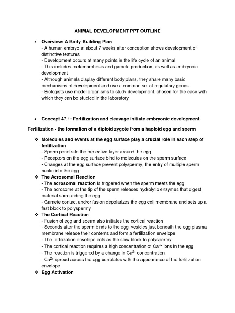 Animal Development and Organogenesis Overview | PDF | Fertilisation ...