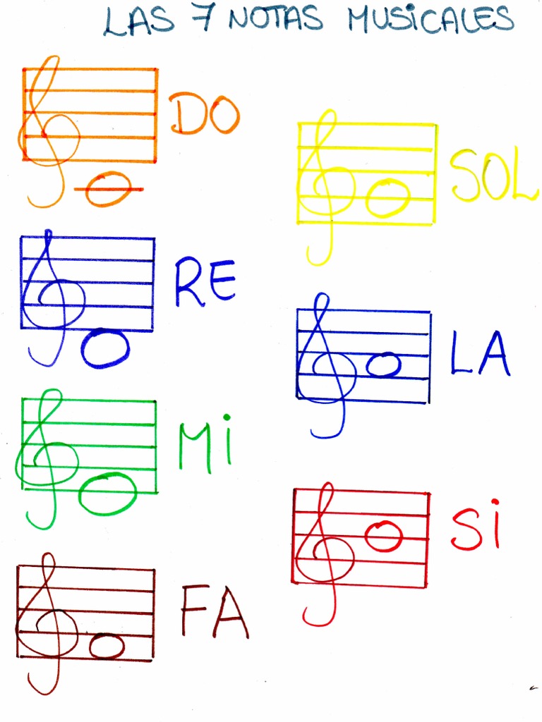 7 Notas Musicales Xilofono Infantil 7 Notas Musicales Infantil
