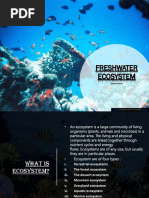 Student Worksheet BiomeViewer | PDF | Tropics | Forests