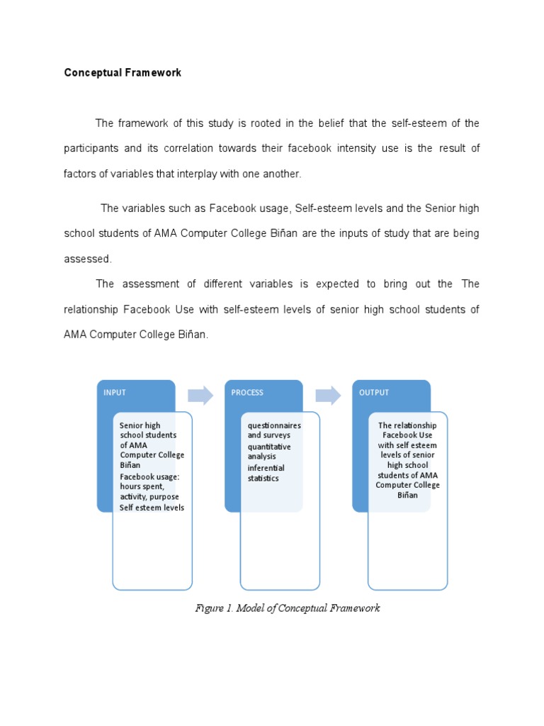 Conceptual Framework: Input Process Output | PDF