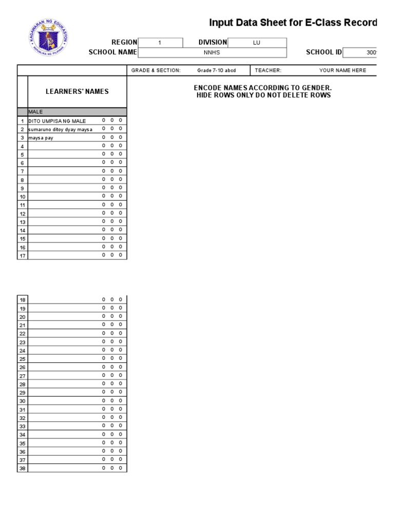 Input Data Sheet For E-Class Record: Region Division School Name School Id | PDF | Learning ...