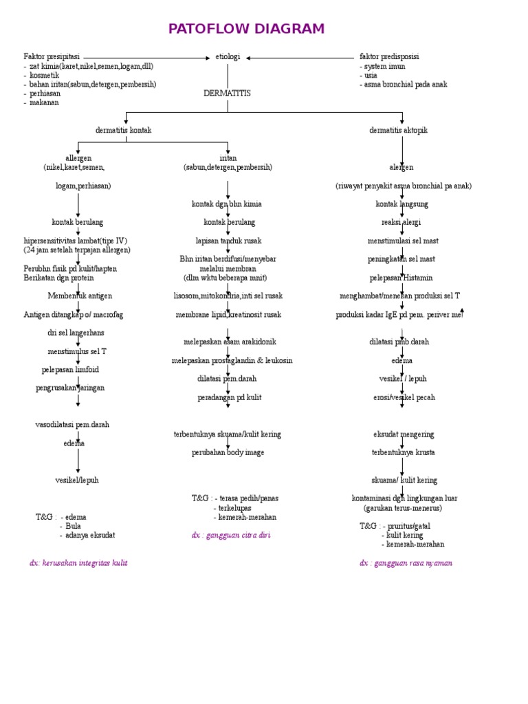 Dermatitis Faktor Predisposisi Dan Etiologi Pdf