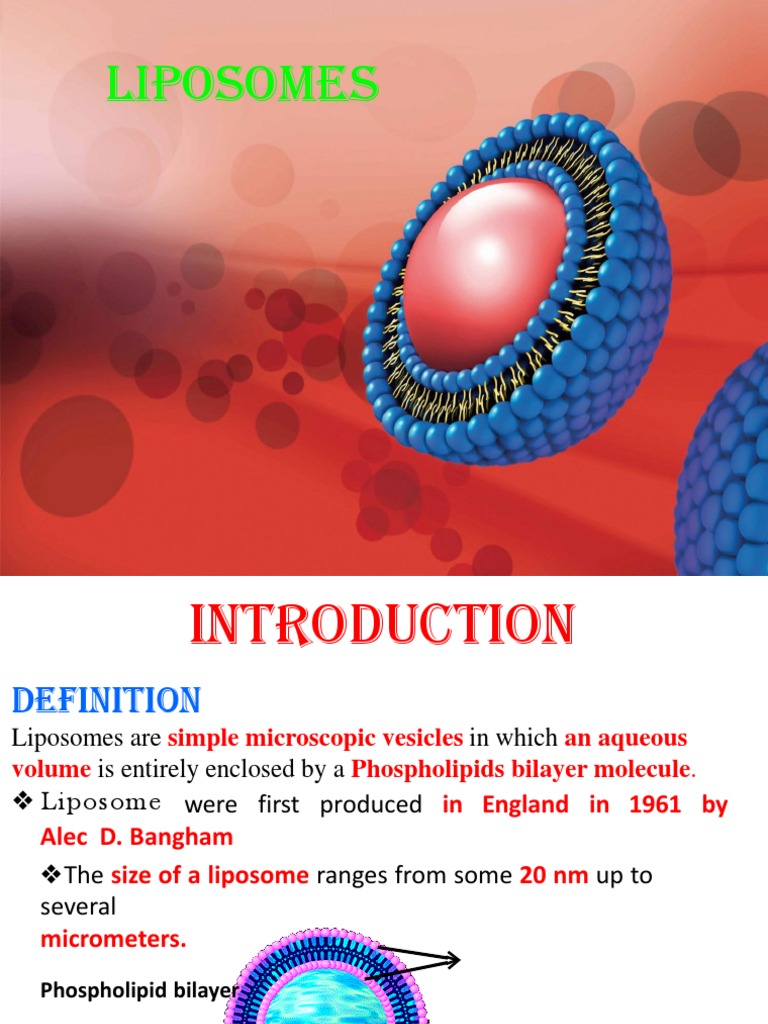 Liposomes | PDF | Liposome | Lipid Bilayer