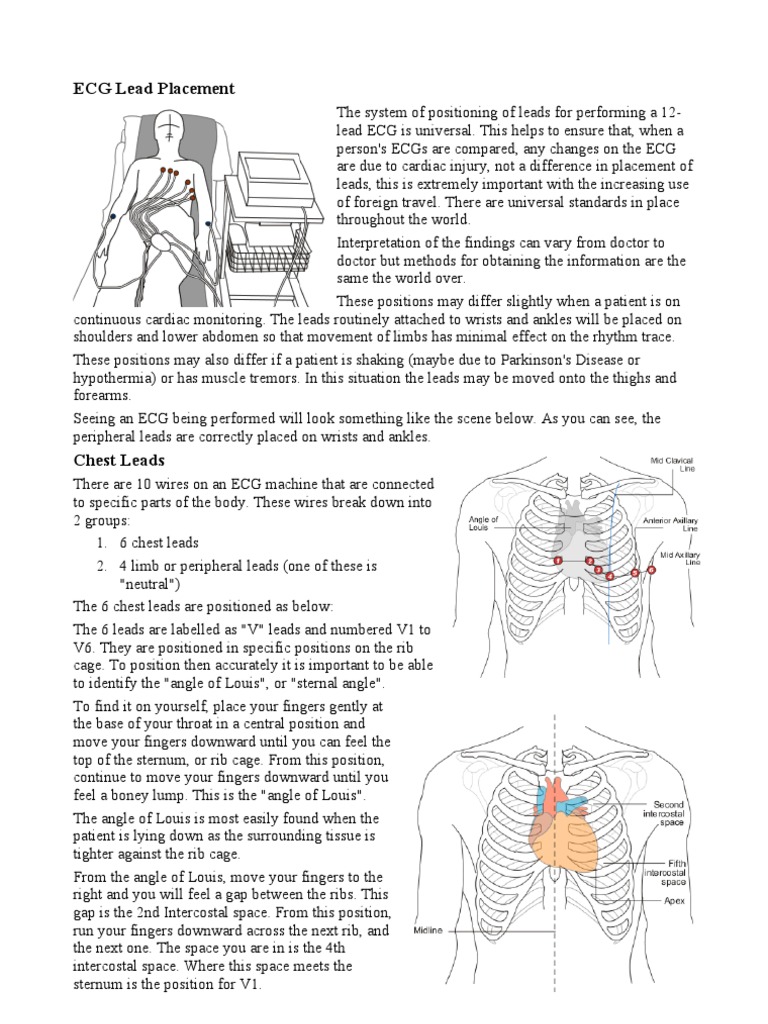 ECG Lead Placement | PDF | Electrocardiography | Visual Cortex