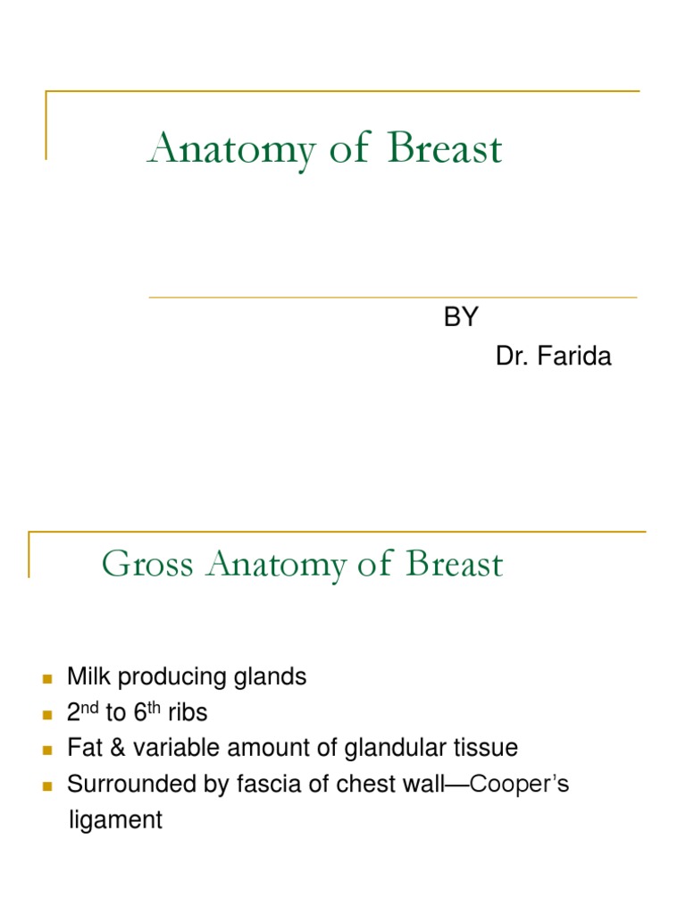 Anatomy of Breast | PDF | Mammography | Magnetic Resonance Imaging