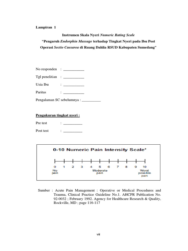Lampiran 1 Instrumen Skala Nyer NRS | PDF