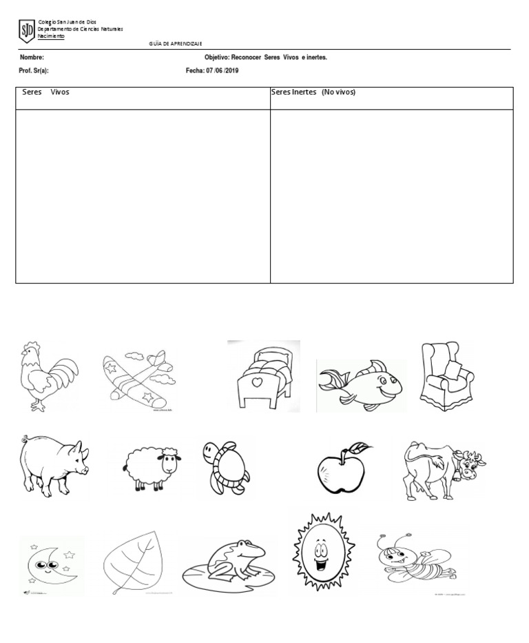 Guía Seres Vivos e Inertes | PDF | Educación avanzada | Escuelas