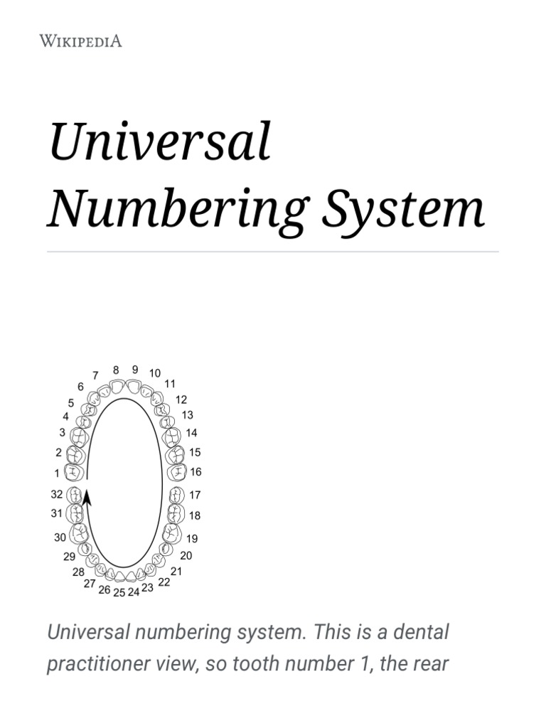 Universal Numbering Systemwide - Wikipedia | PDF | Tooth | Mouth