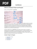 Difference Between Project and Program | PDF | Resource | Stakeholder ...