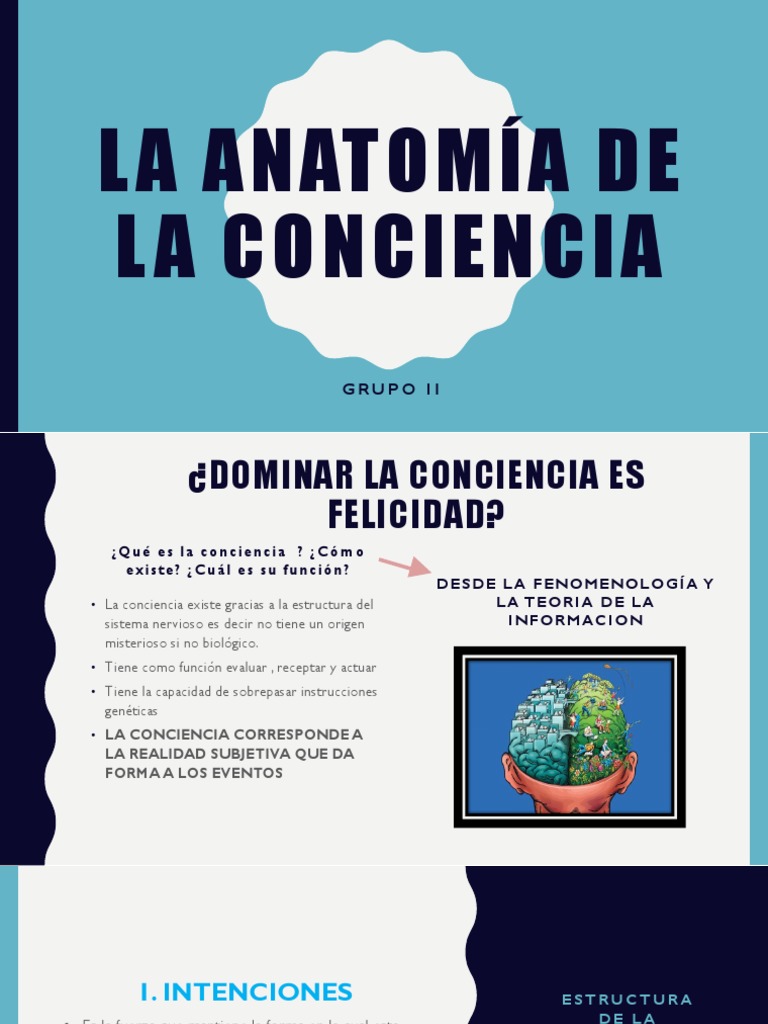 Anatomía y Estructura de la Conciencia | PDF | Epistemología ...