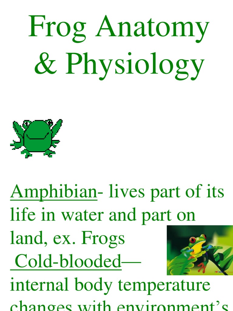 Frog Anatomy and Physiology Overview | PDF | Human Body | Frog