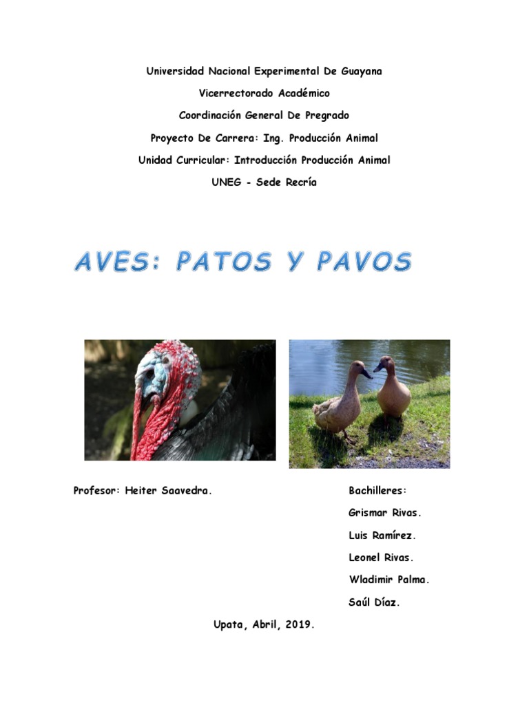 Patos y Pavos Ipa | PDF | Aves | Pollo