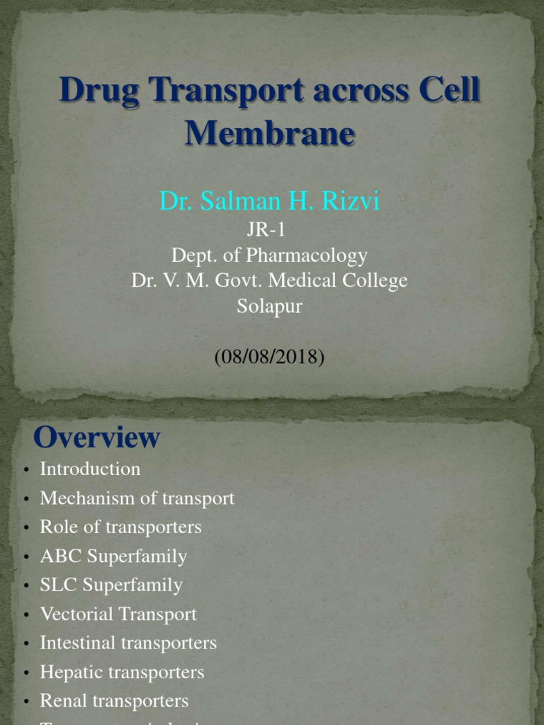 Drug Transport Across Cell Membrane: Dr. Salman H. Rizvi | PDF | Biological Membrane | Cell Membrane