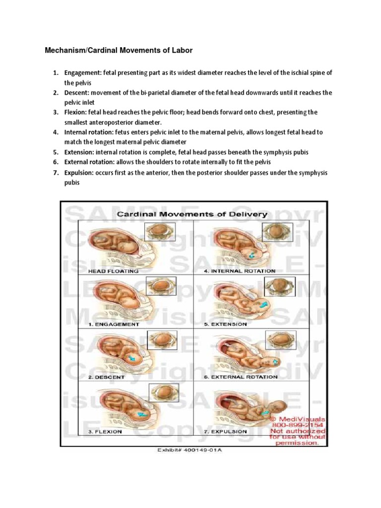 Mechanism of Labor
