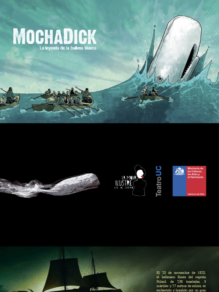 Dosier Mocha Dick | PDF | Cetáceos
