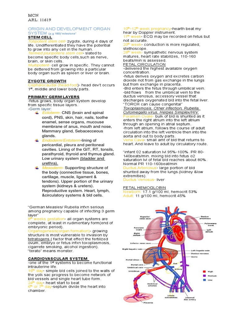 Origin and Development Organ System: MCN ARL: 11619 | PDF | Fetus ...