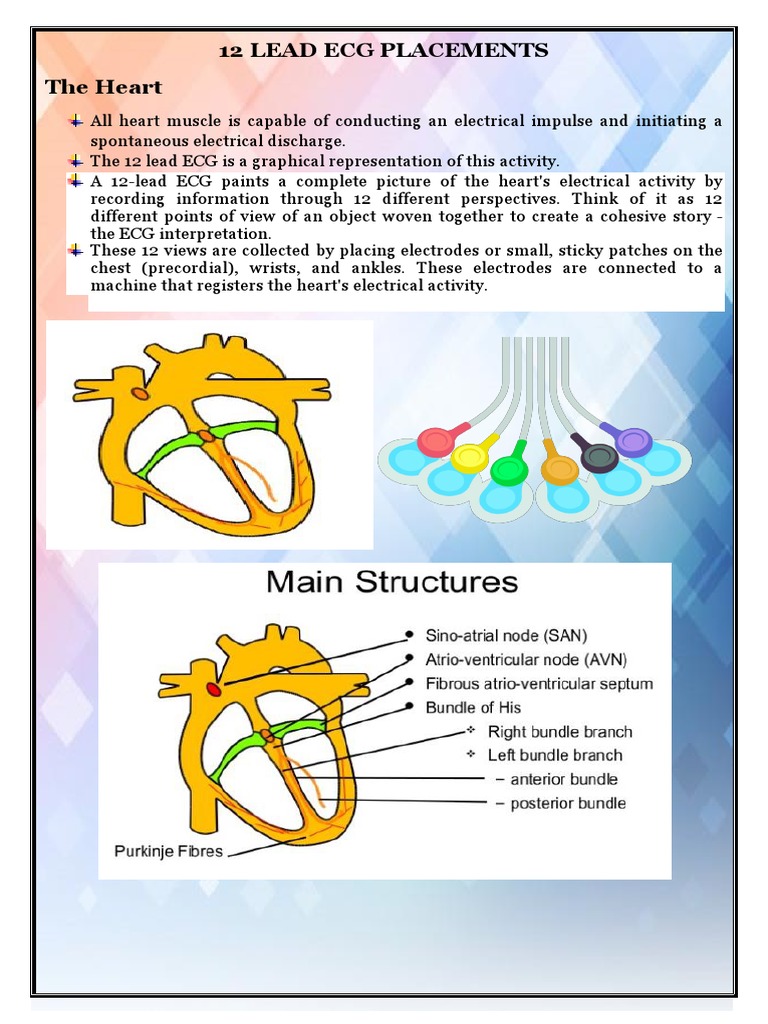 12 Lead Ecg Placements | PDF | Electrocardiography | Heart