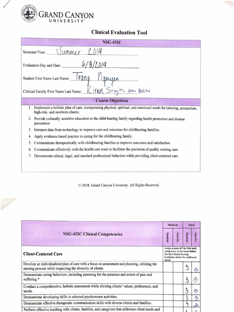 Clinical Evaluation Tool 432 | PDF | Competence (Human Resources) | Nursing