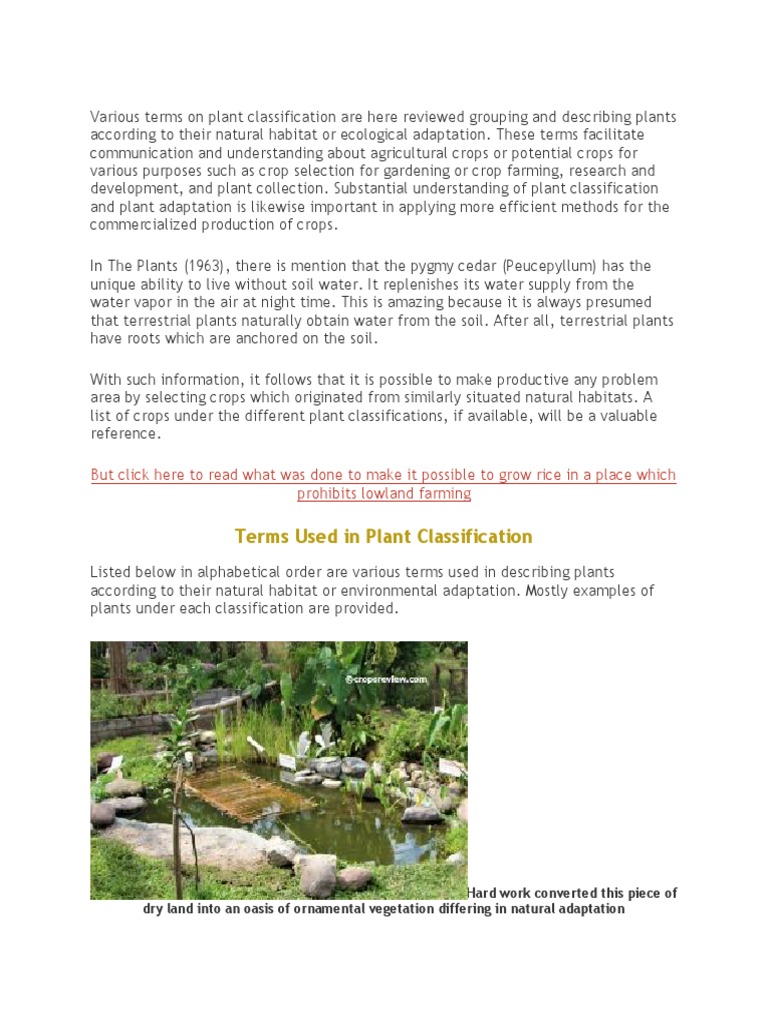Plant Classification and Adaptation Overview | PDF | Plants | Trees