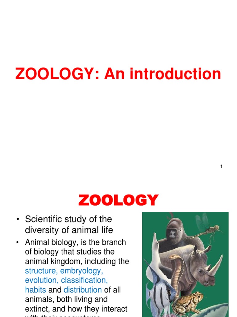 ZOO Intro To Zoo | PDF | Zoology | Biology