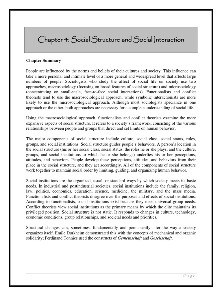 Chapter 4: Social Structure and Social Interaction | PDF | Social Group ...