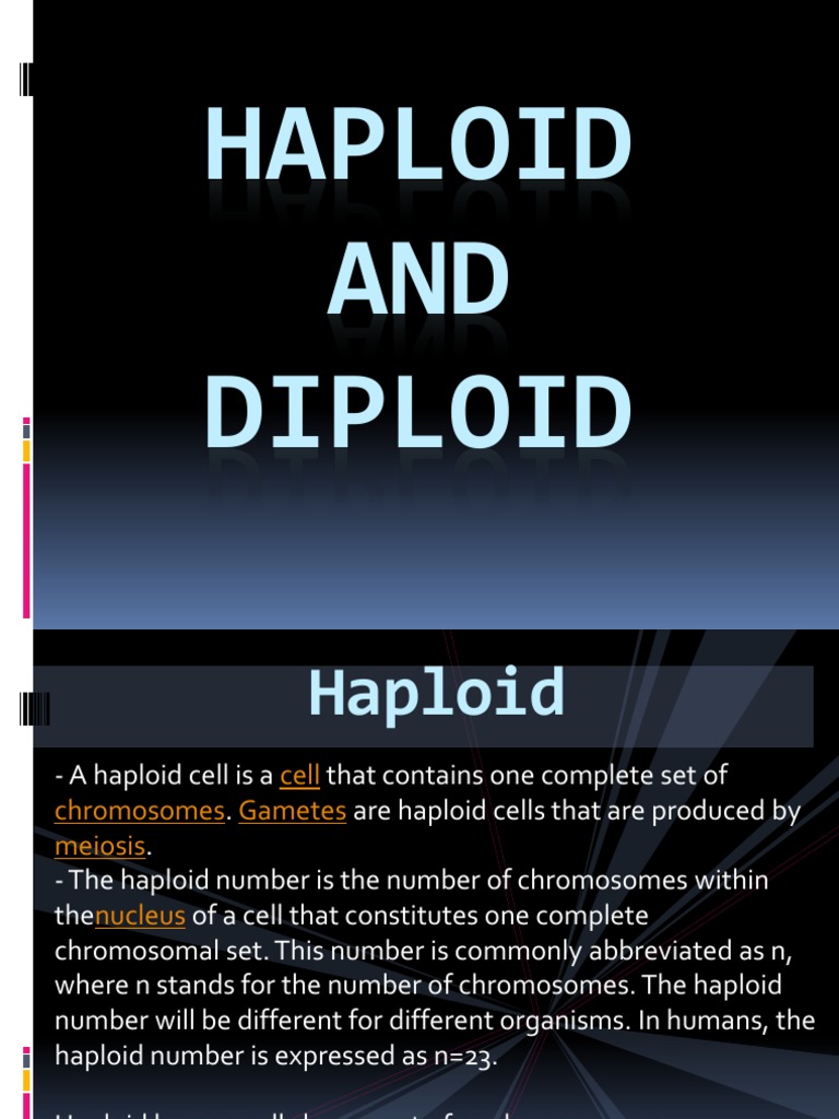 Haploid vs. Diploid in Humans | PDF