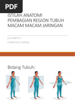 Istilah Istilah Regio Tubuh Manusia | PDF | Kajian Bahasa Asing | Sains ...