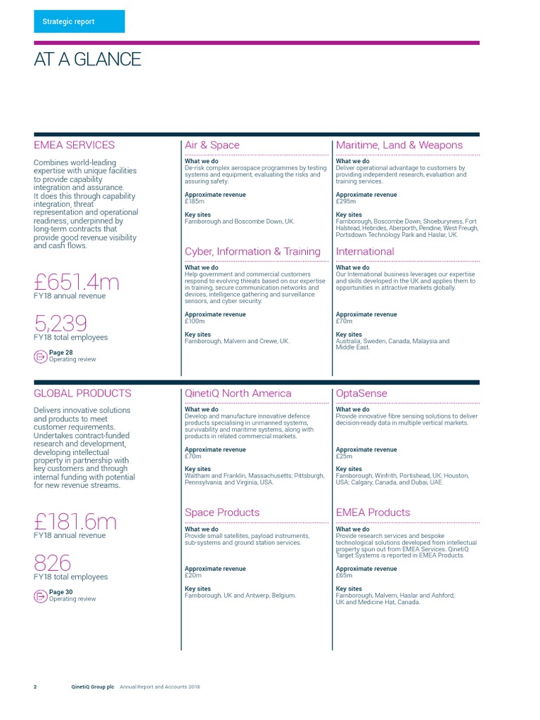 Strategic report at a glance | PDF | Business