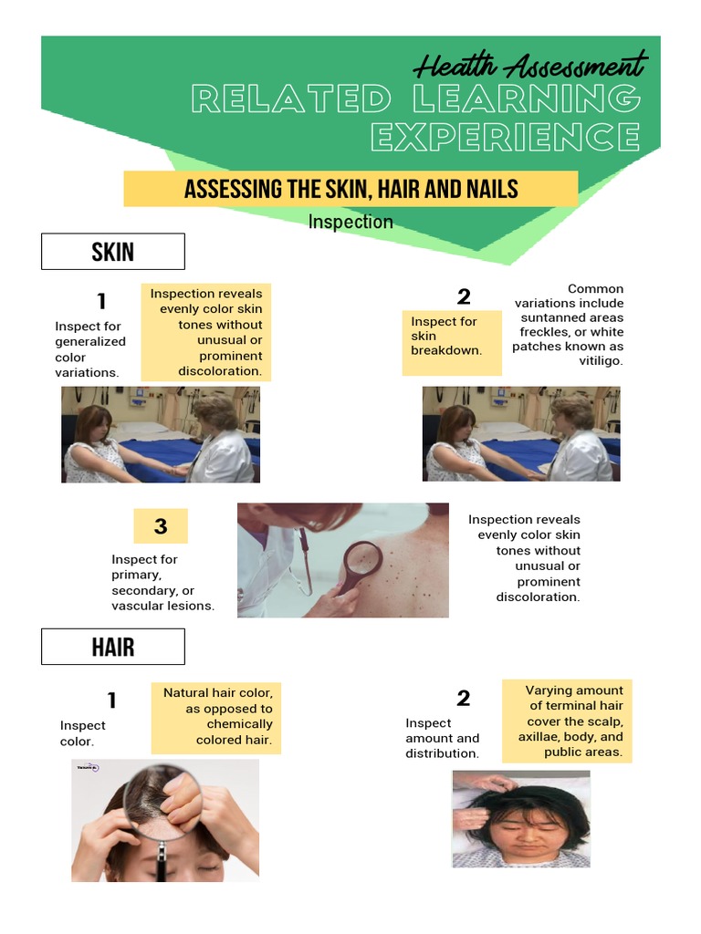 Assessing Skin, Hair and Nails | PDF | Nail (Anatomy) | Skin