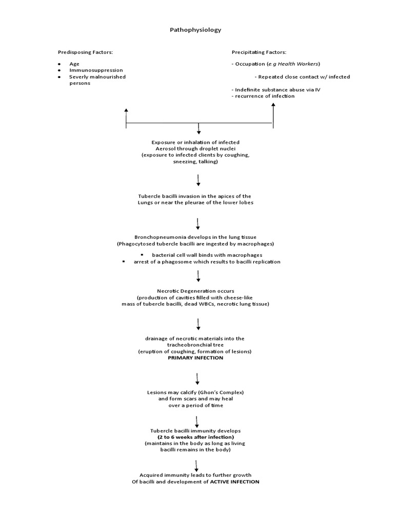 Path o Physio TB Effusion | PDF | Tuberculosis | Epidemiology