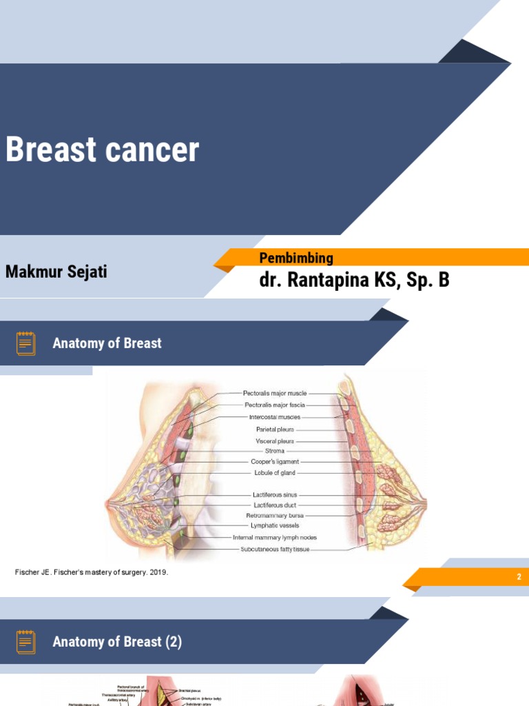 Breast Cancer | PDF | Mammography | Breast Cancer