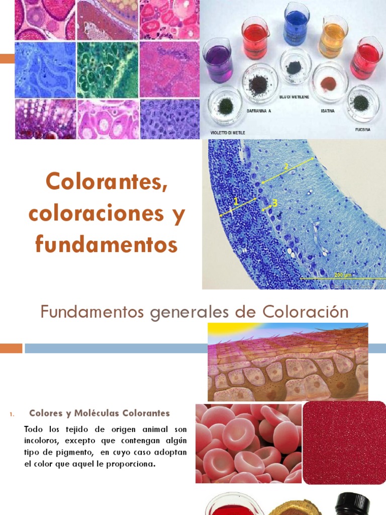 Colorantes Fundamentos | PDF | Tinción | Color