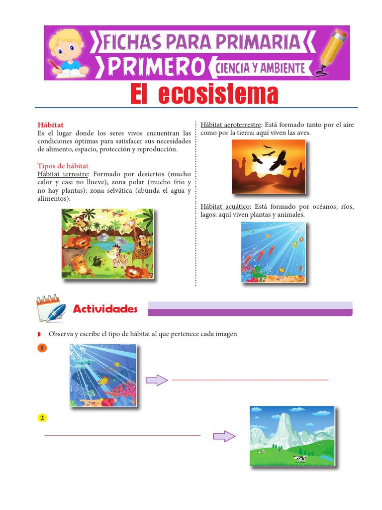 El Ecosistema para Primero de Primaria | PDF | Habitat | Tierra