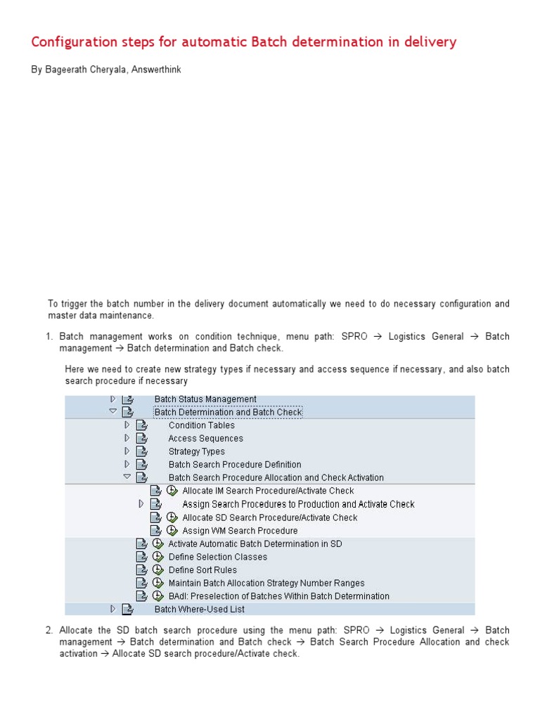 Configuration Steps For Automatic Batch Determination in Delivery | Download Free PDF ...