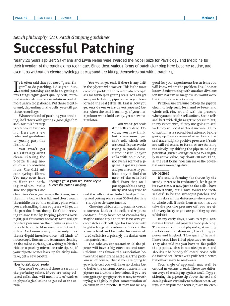 Successful Patching: Bench Philosophy (21) : Patch Clamping Guidelines ...